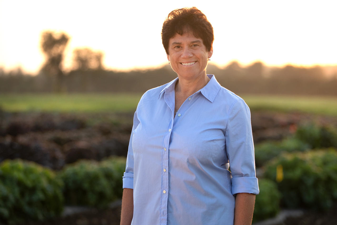 Mitrano Discusses Economic Proposal | News, Sports, Jobs - Post Journal